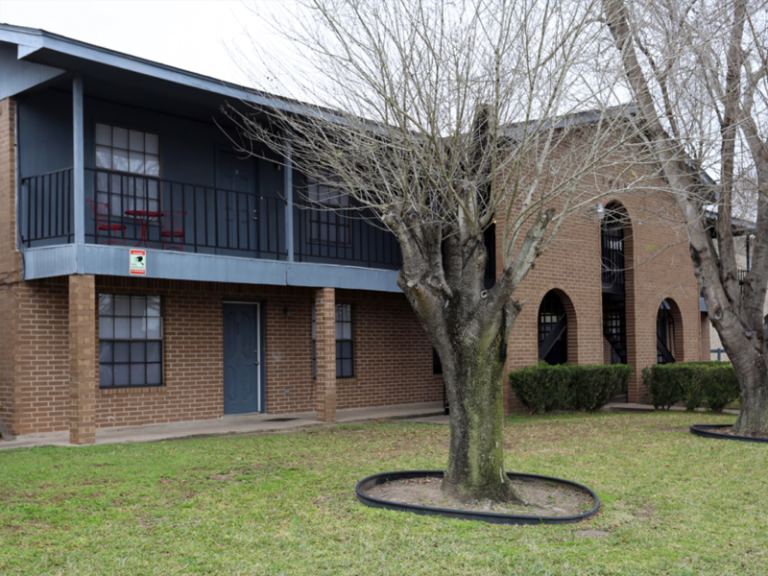 ash-tree - Devon Place